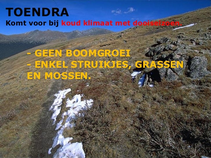 Klimaat en vegetatie