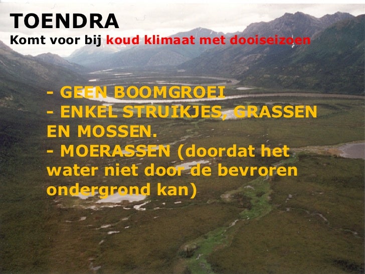 Klimaat en vegetatie