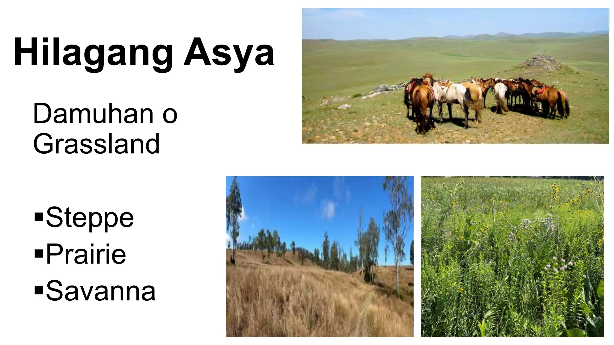 Klima at Behetasyon o Vegetation Cover ng Asya.pptx
