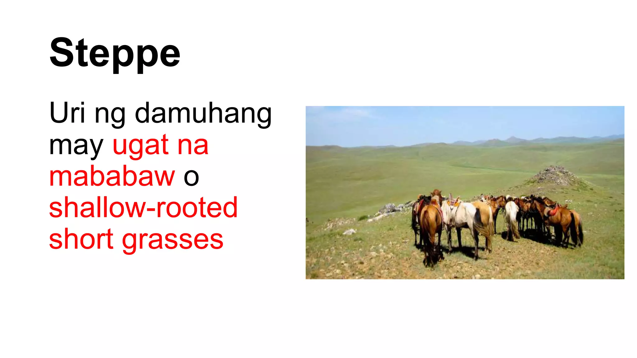 Klima at Behetasyon o Vegetation Cover ng Asya.pptx