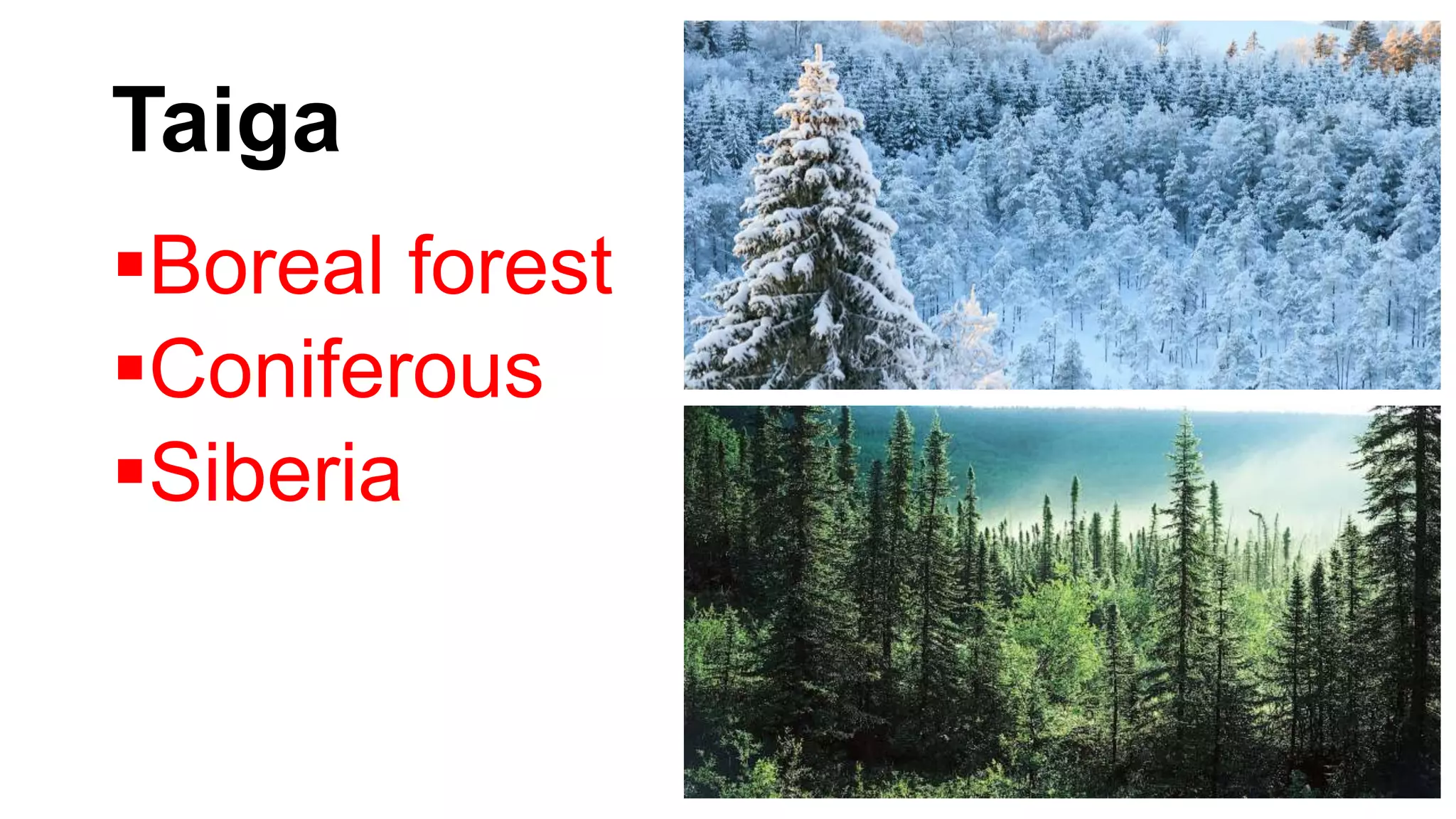 Klima at Behetasyon o Vegetation Cover ng Asya.pptx