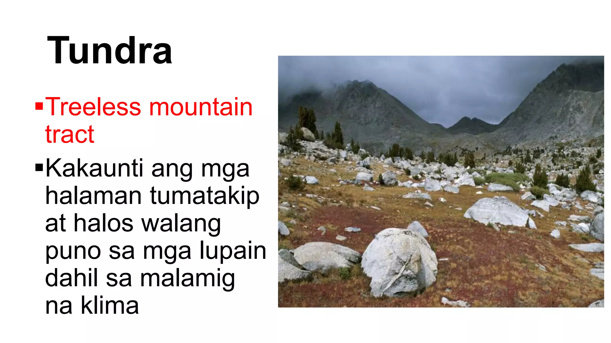 Klima at Behetasyon o Vegetation Cover ng Asya.pptx