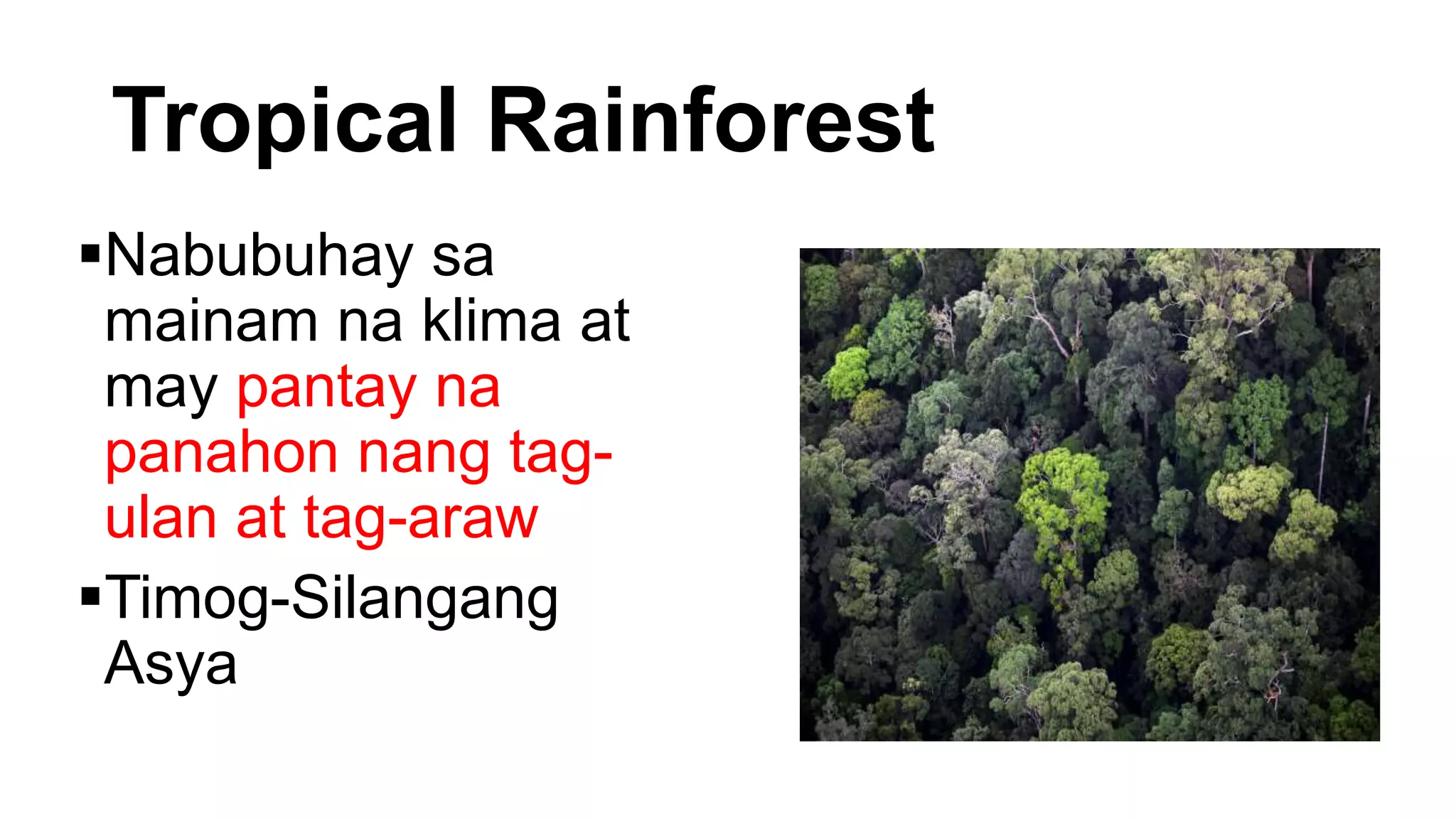 Klima at Behetasyon o Vegetation Cover ng Asya.pptx