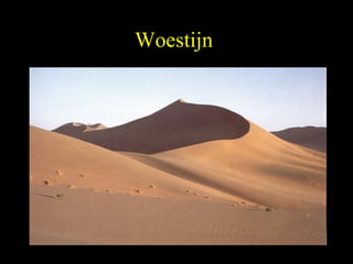 Klimaat En Landschap | PPT | Polar Travel | Travel Locations