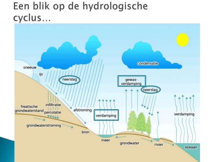 Klimaatsveranderingen en directe effecten op de hydrologische cyclus