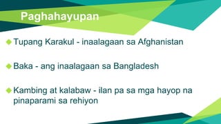 Klima at Kabuhayan sa Timog Asya | PPTX