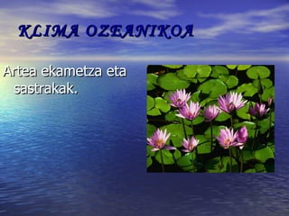 Klima eta landaredia | PPS