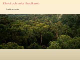 Klimat och natur i tropikerna | PPTX
