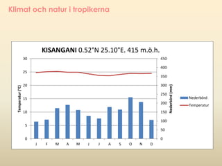 Klimat och natur i tropikerna | PPTX