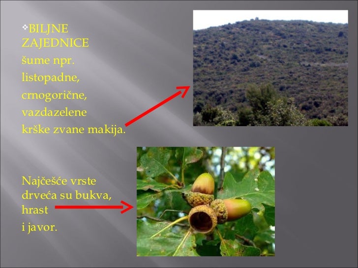 Klime Europe