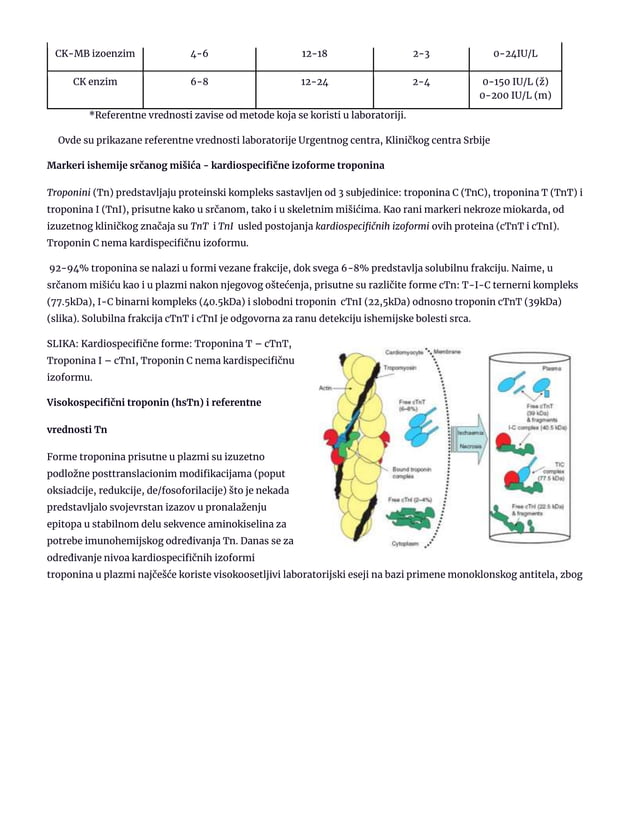 Klinicka biohemija 19-20.docx