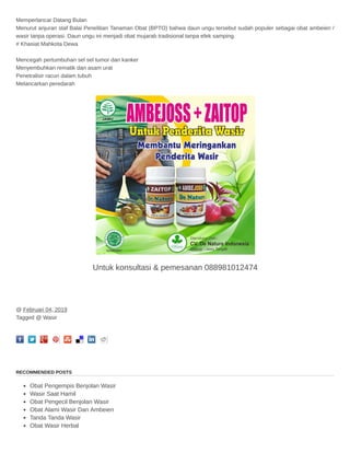 -obat-pengecil-benjolan-wasir | PDF