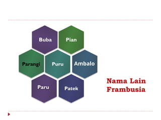 Tata Laksana Klinis Penyakit Frambusia | PPTX