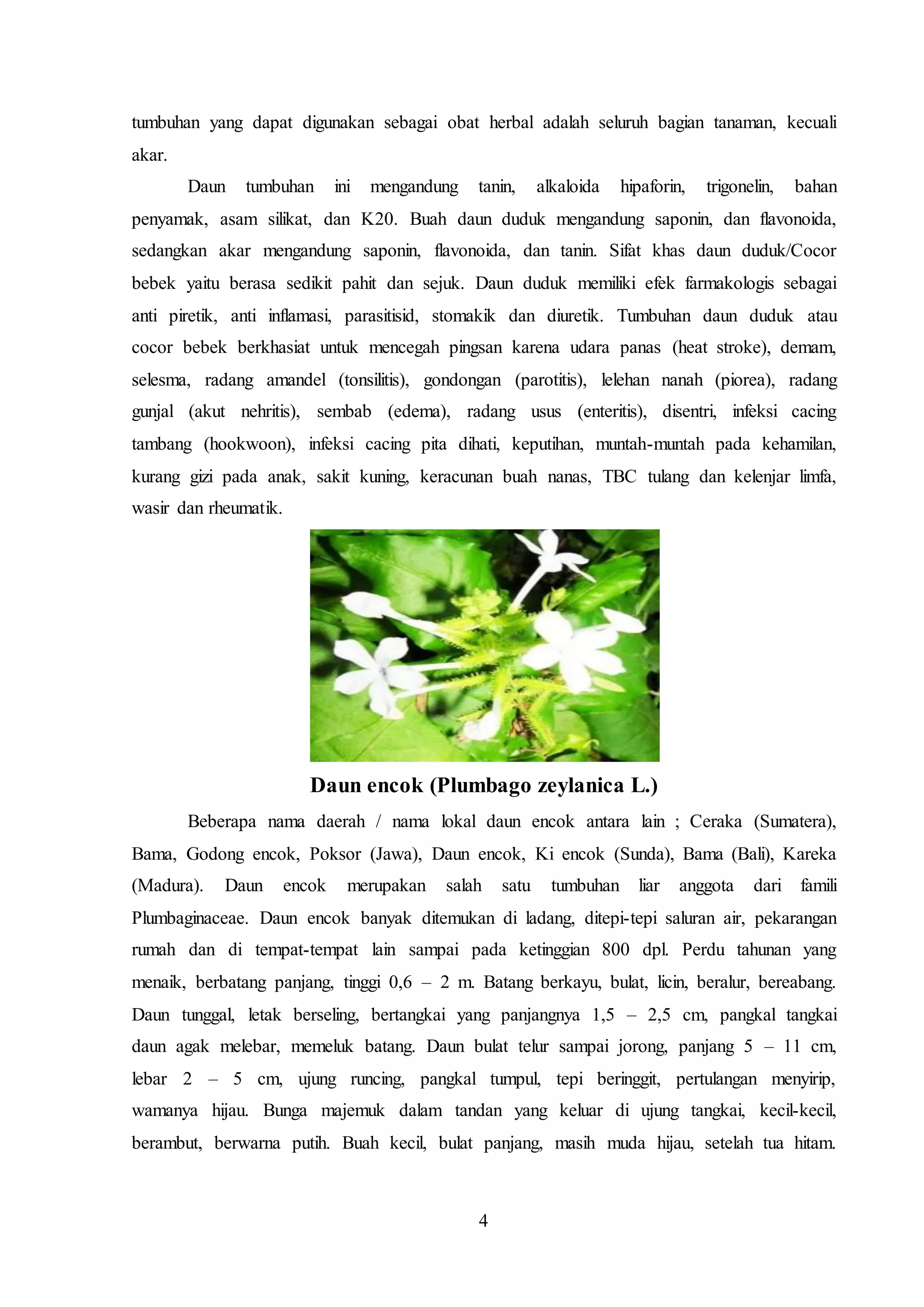 Kliping keanekaragaman hayati 8 | DOCX