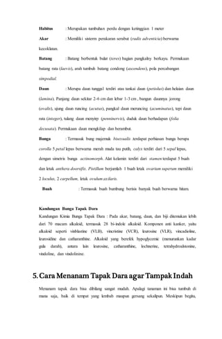 Tapak Dara DOCX Tapak Dara DOCX