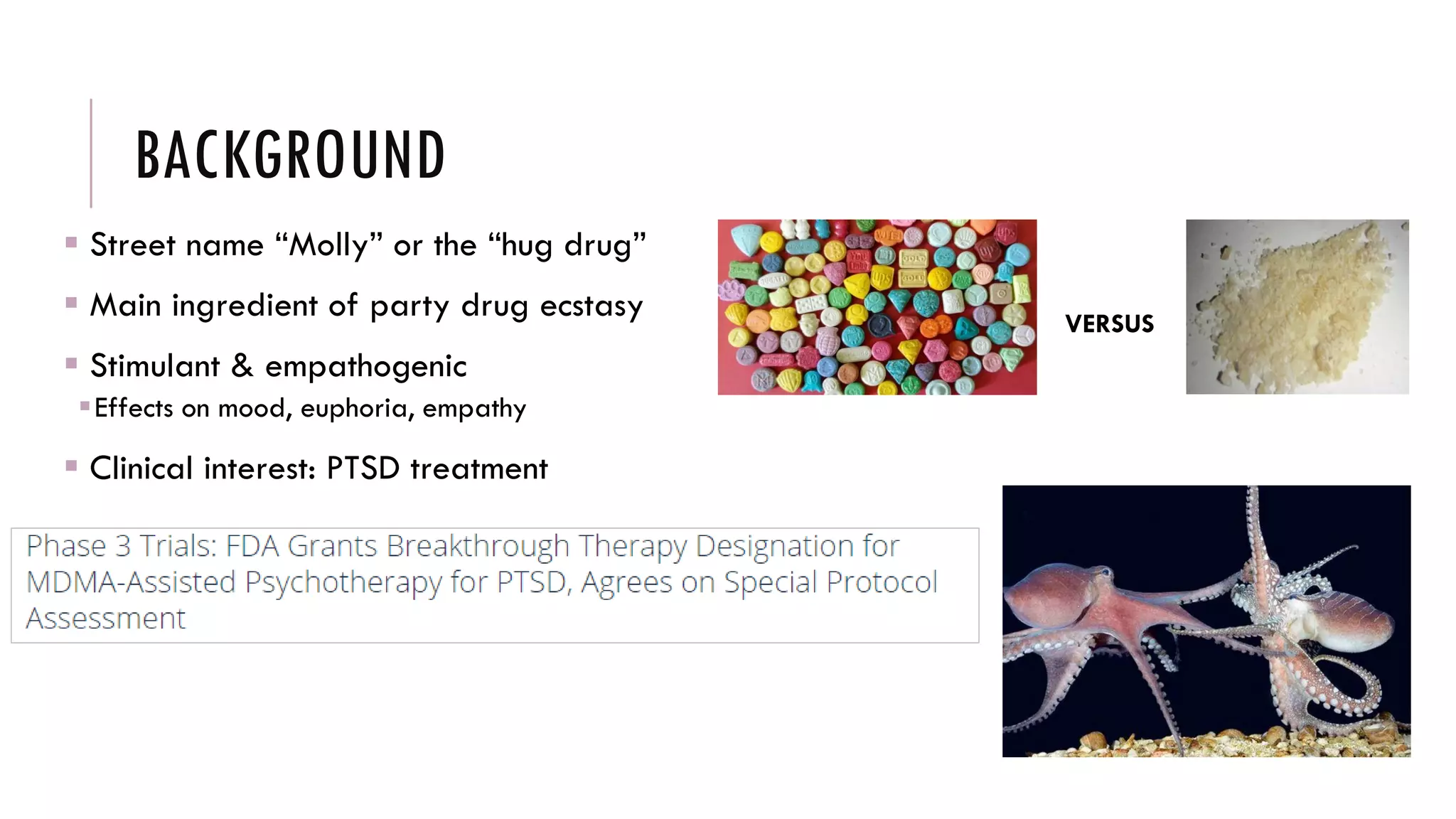 Remembering Molly: immediate and delayed false memory formation after ...