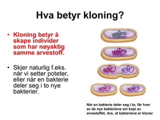 Kloning | PPTX