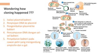 Kloning dna | PPTX