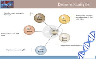Kloning Gen | PPT