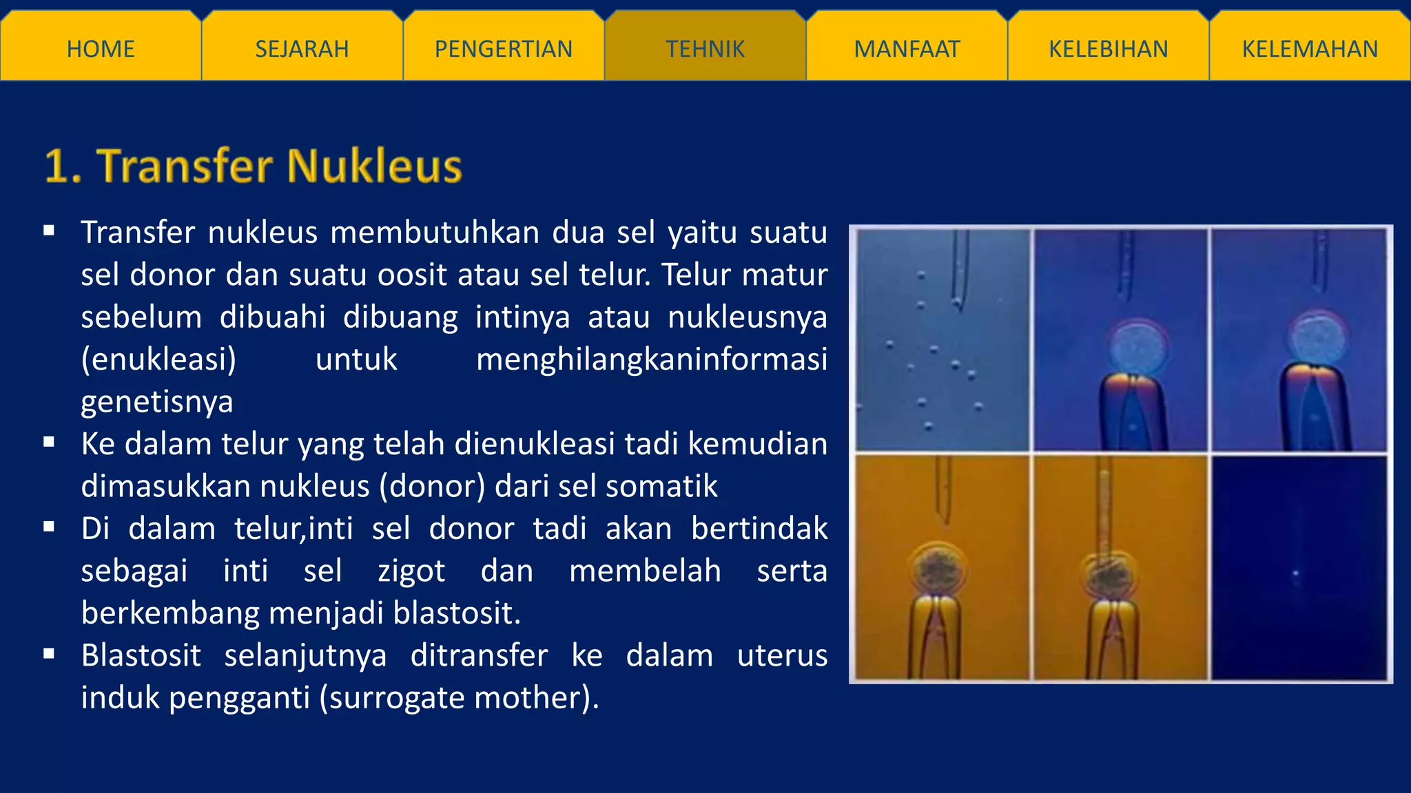 Kloning hewan pptx | PPTX