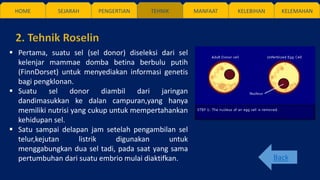Kloning hewan pptx | PPTX