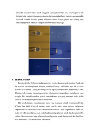 Kloning Nukleus | PDF