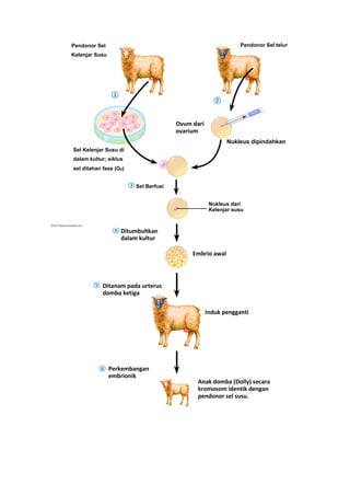 Kloning Nukleus | PDF