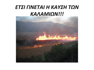 Η ΛΙΜΝΗ ΣΤΥΜΦΑΛΙΑ | PPT