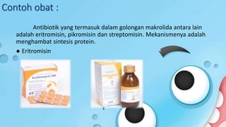 Antibiotika klorampenikol&makrolida.pptx