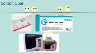 Antibiotika klorampenikol&makrolida.pptx