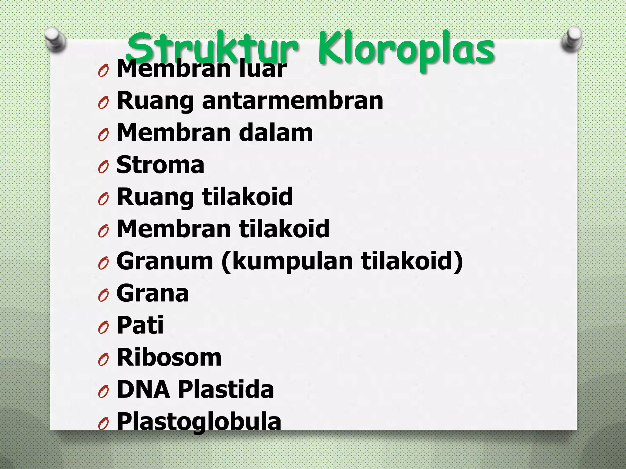 Kloroplas | PPTX