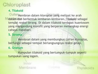 Kloroplas | PPTX