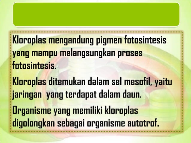 Kloroplas | PPTX