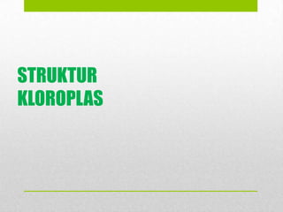 Kloroplas | PPTX