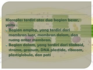 Kloroplas | PPTX