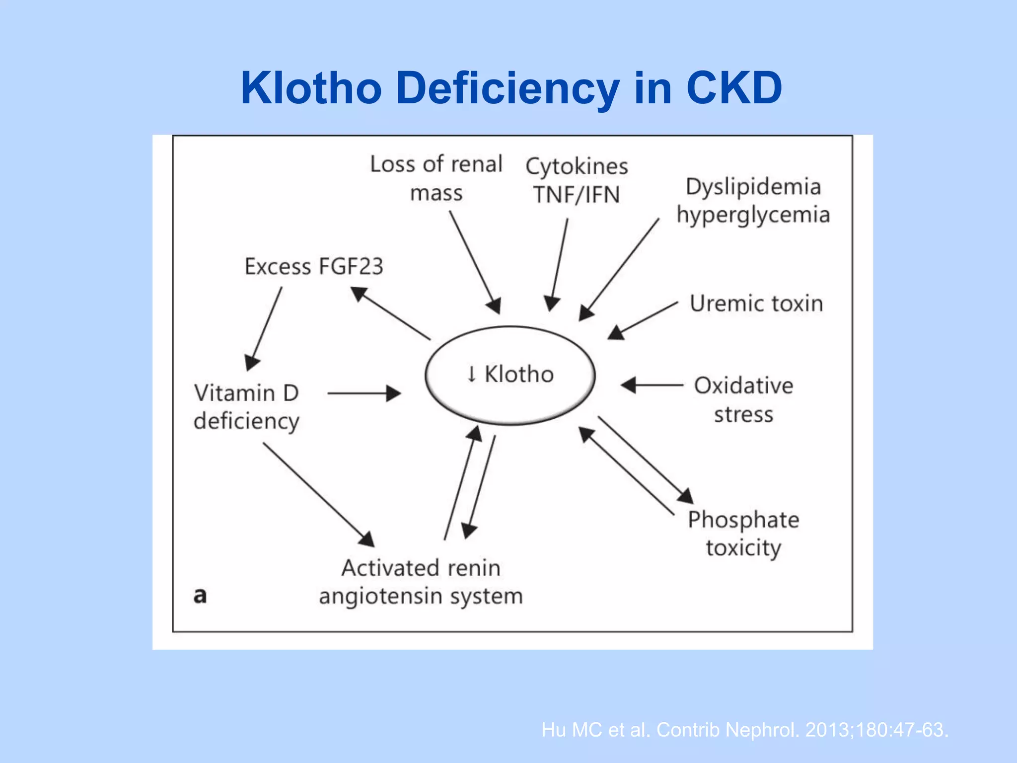 Klotho in kidney Ischemia/Reperfusion Injury and Kidney Transplantation ...