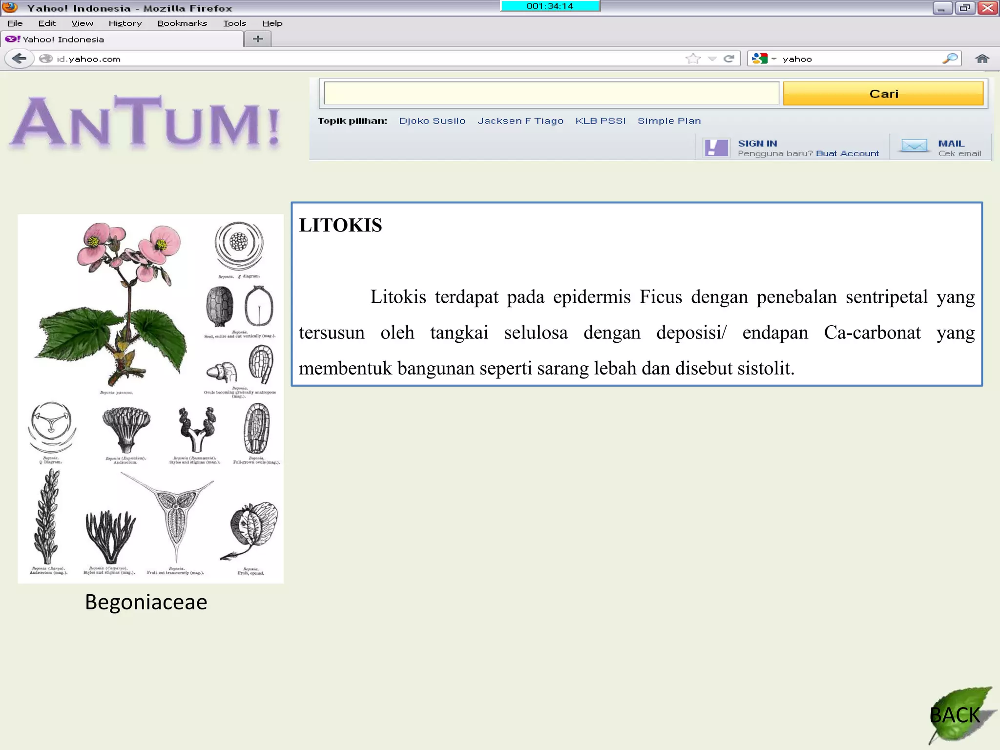 ANATOMI TUMBUHAN - JARINGAN EPIDERMIS | PPTX