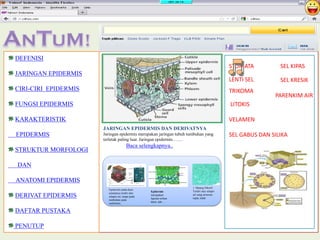 ANATOMI TUMBUHAN - JARINGAN EPIDERMIS | PPTX