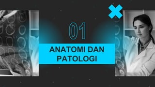 KLP 1 TR 3 COLON IN LOOP PEDIATRIC.pptx