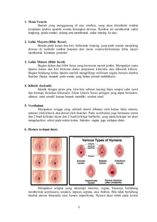 Klp 2 sistem reproduksi wanita | DOCX