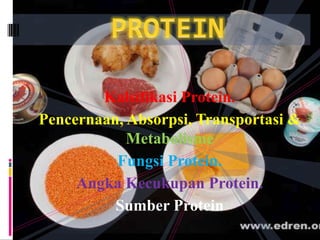 Protein | PPT