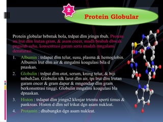 Protein | PPTX