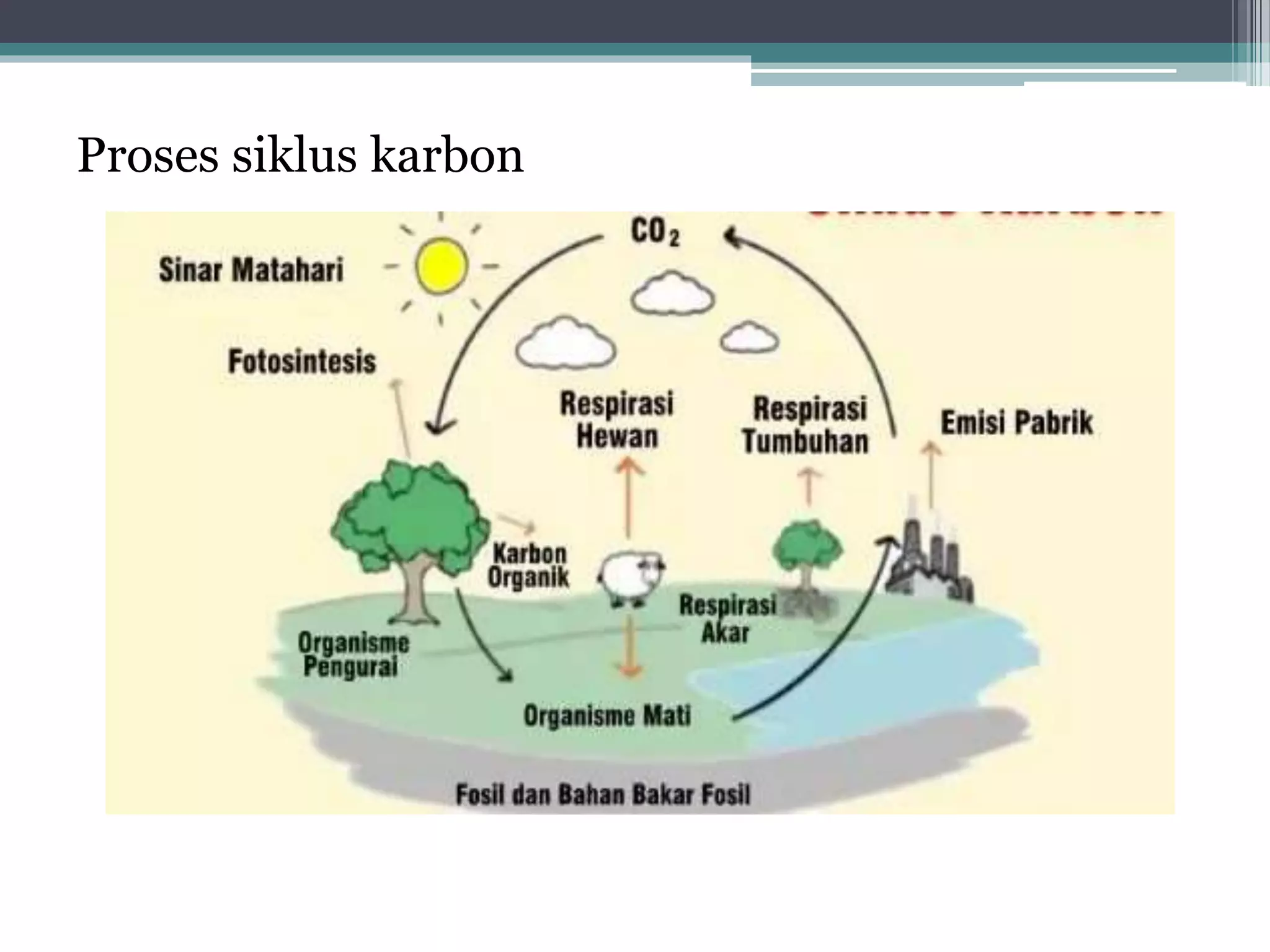 KLP 8 SIKLUS KARBONDIOKSIDA.pptx