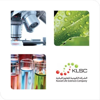 Klsc company profile | PDF