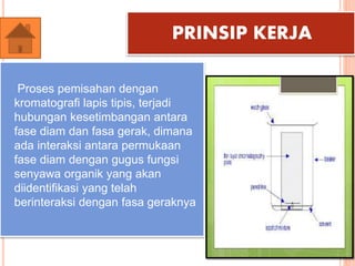 Fitokimia Kromatografi lapis tipis | PPTX