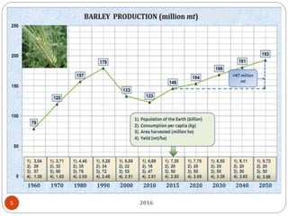 WORLD Grain: Wheat, Corn, Barley | PPTX
