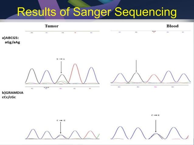 VALIDATION OF NGS SEQUENCING BY SANGER SEQUENCING | PPT