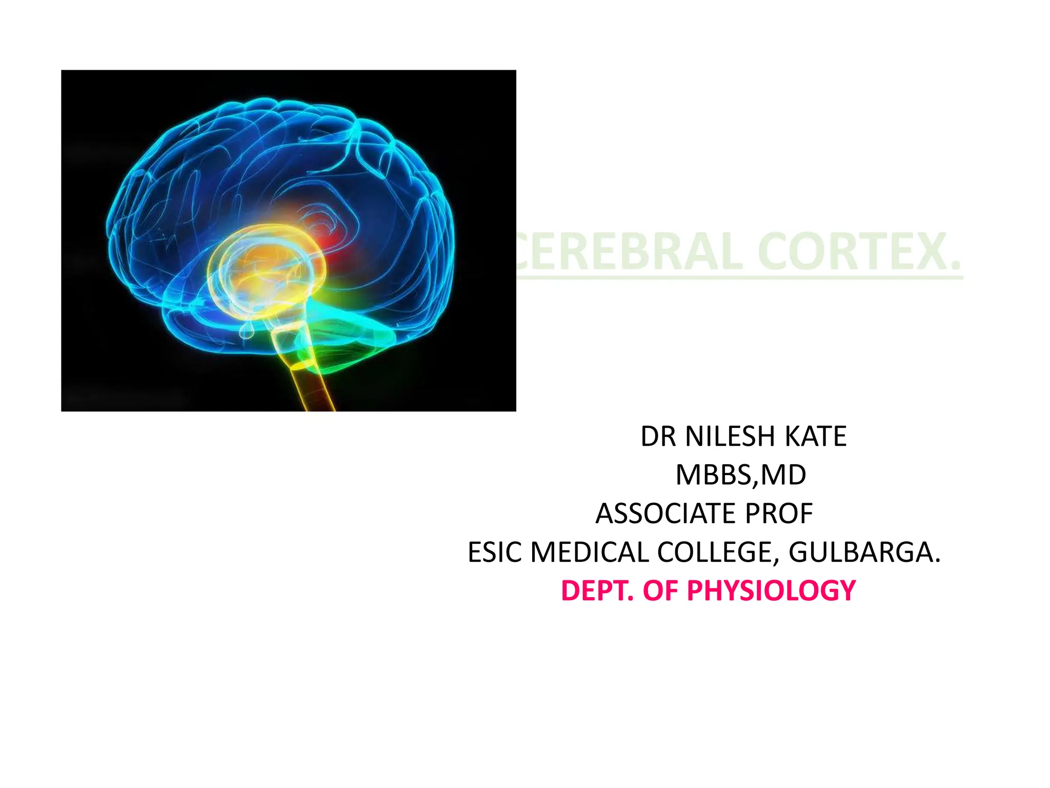 Kluver-Bucy Syndrome.ppt affecting cerebral cortex | PPT