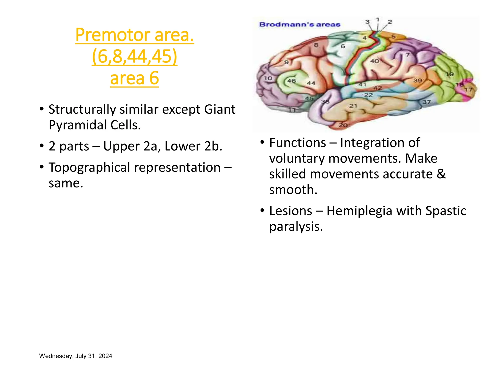 Kluver-Bucy Syndrome.ppt affecting cerebral cortex | PPT
