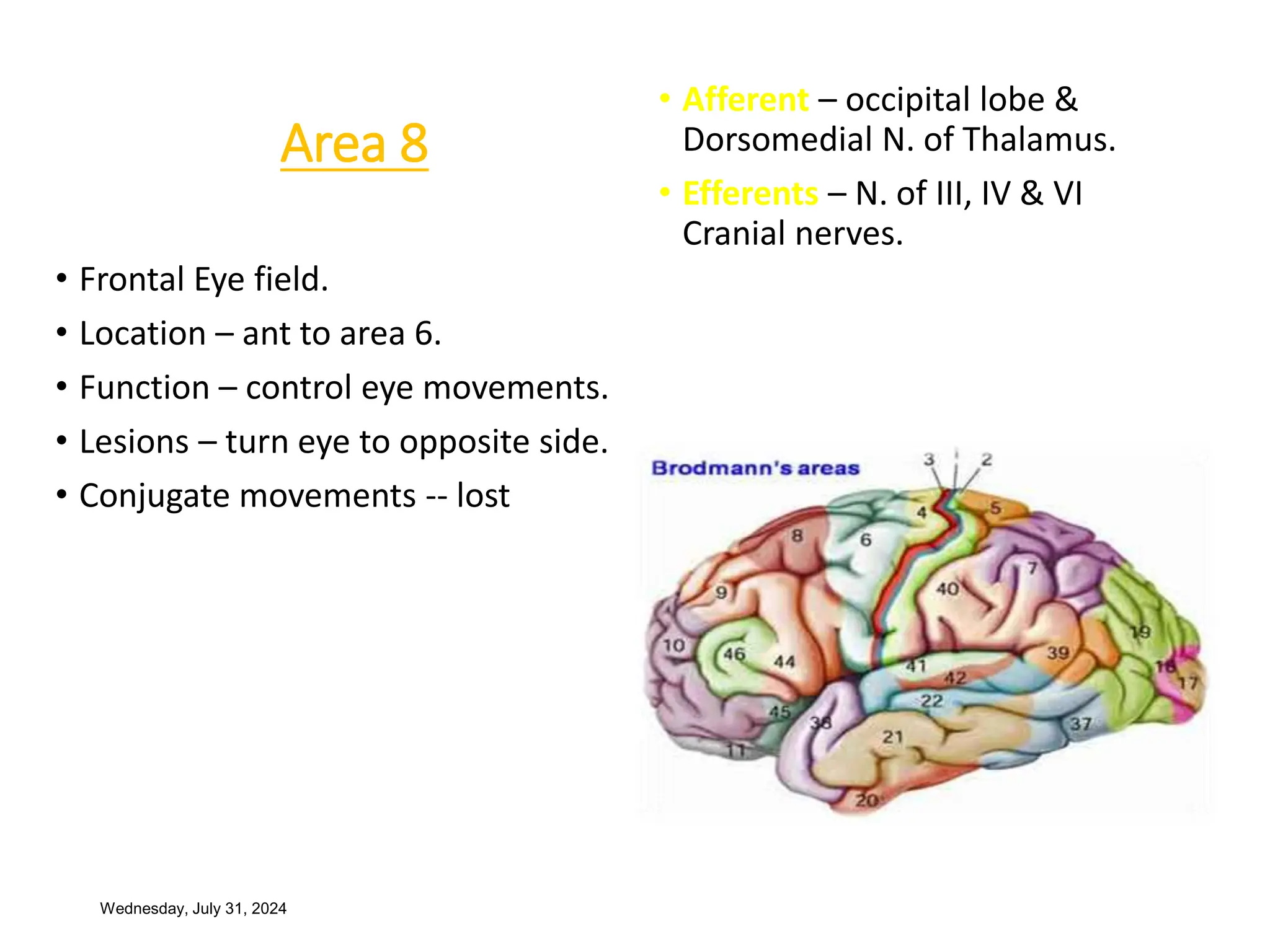 Kluver-Bucy Syndrome.ppt affecting cerebral cortex | PPT